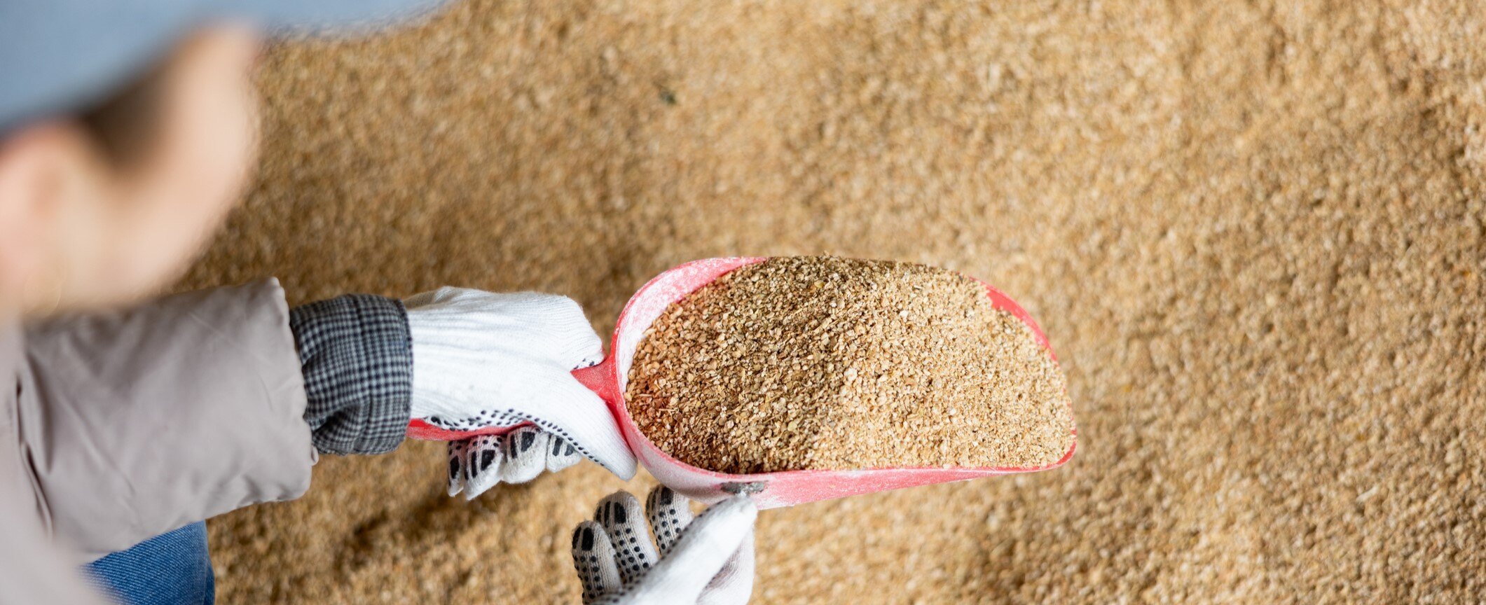 (Almost) All Roads Lead to AAFCO: A Regulatory Update for Feed Ingredient Manufacturers